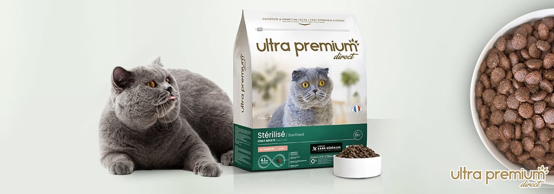 Grosse croquette pour chat glouton : comparatif 2026 et avis