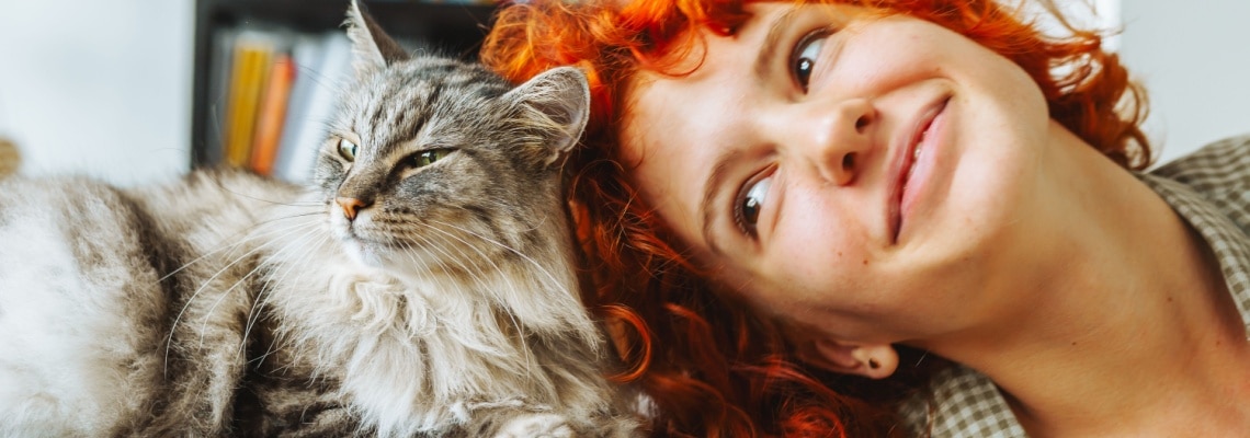 Chat pot de colle : causes et solutions - Conseils-animaux.fr